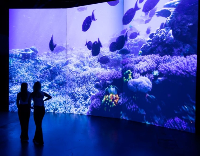 Australian Geographic: Our Country 360° Cinematic Experience Bcec ...