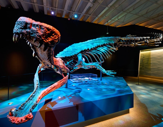 Croc! Lost Giants To Living Legends Queensland Museum Kurilpa | Must Do ...