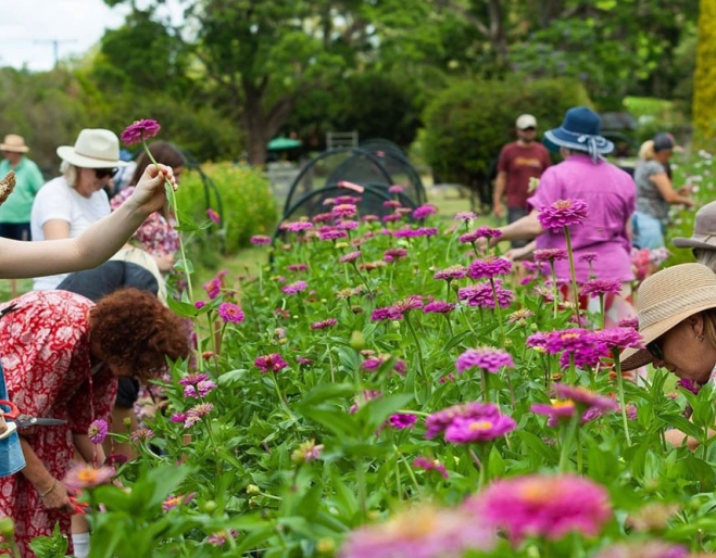Flower Farm Brisbane | Best Flower Site