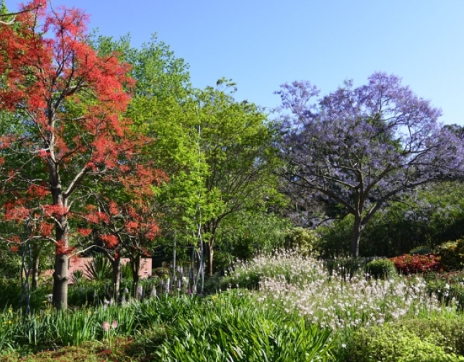 Best Spring Garden Walks In Brisbane | Must Do Brisbane