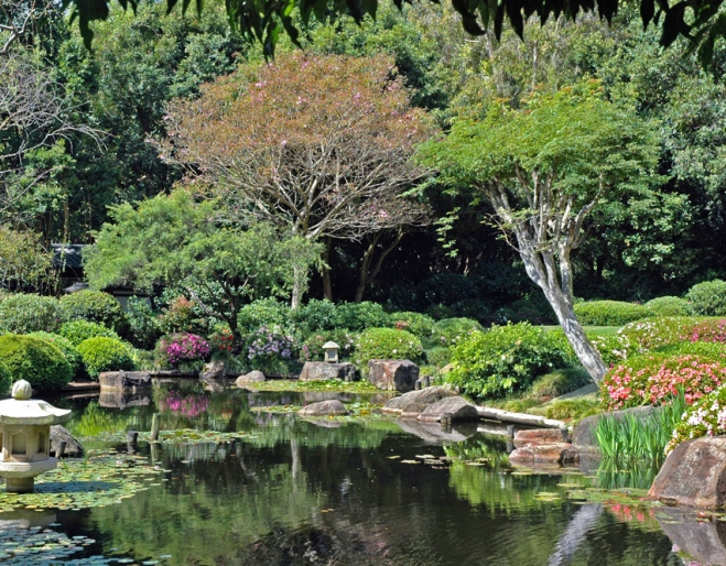 Mt Coot-Tha Botanic Gardens In Toowong, Brisbane | Must Do Brisbane