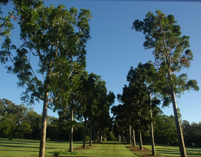 Seqs Best Super Parks | Must Do Brisbane