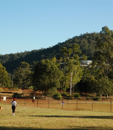 Dog-Friendly Brisbane | Dog Parks, Beaches And Cafés | Must Do Brisbane