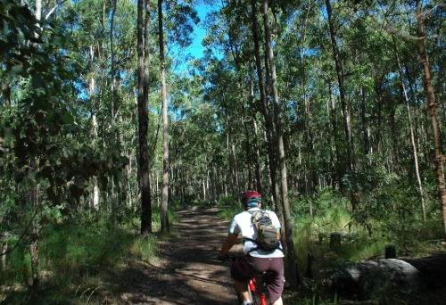 Cycling Brisbane | Bike Paths Bush Bay River | Must Do Brisbane