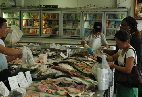 Best Seafood In Brisbane | Fresh Seafood | Must Do Brisbane