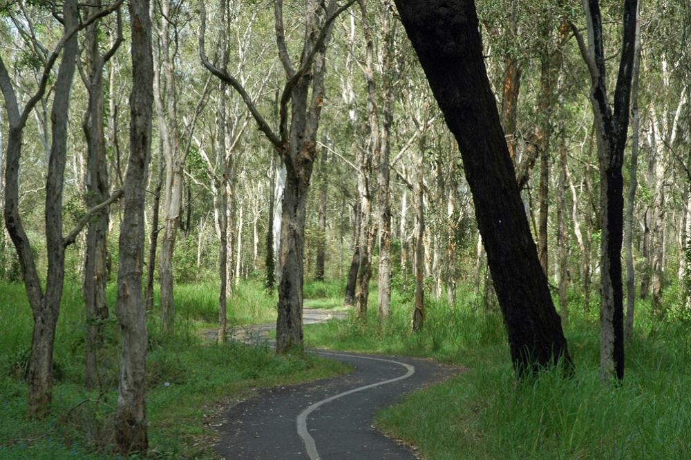 Best Bike Rides And Tracks Around Brisbane | Must Do Brisbane