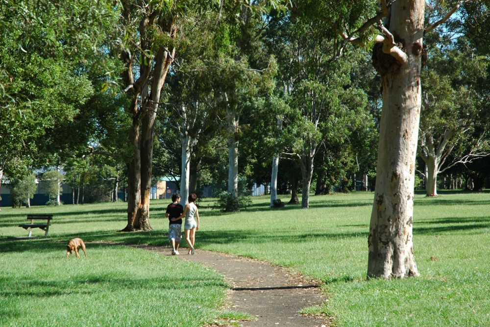 10 Best Dog Parks Around Brisbane | Must Do Brisbane