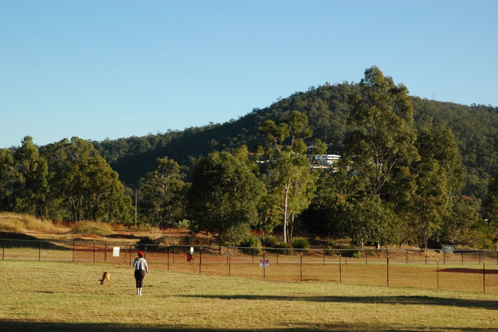Best Things To Do In Ashgrove | Must Do Brisbane