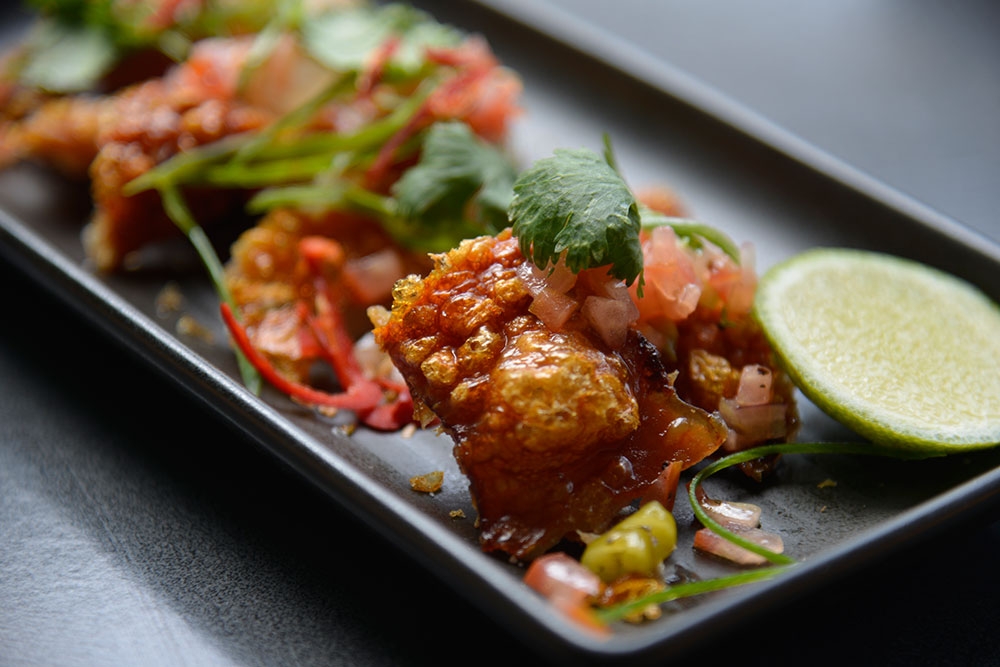 Collective Kitchen And Bar Brisbane Cbd | Must Do Brisbane
