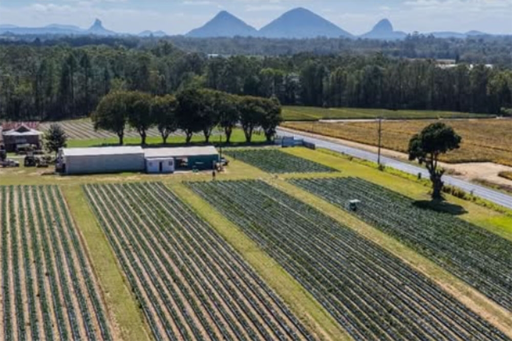 Moreton Bay Farm Trail 2025 | Must Do Brisbane