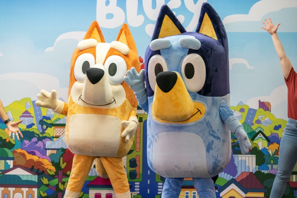 Blueys World Northshore Brisbane | Must Do Brisbane