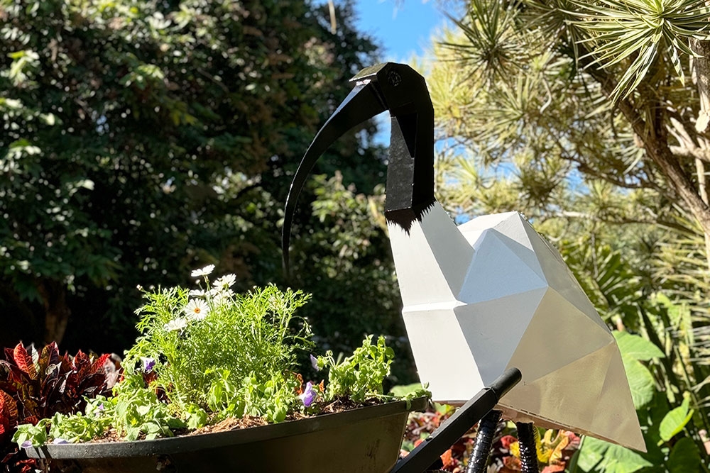 The Bin Chicken Trail Brisbane | Must Do Brisbane