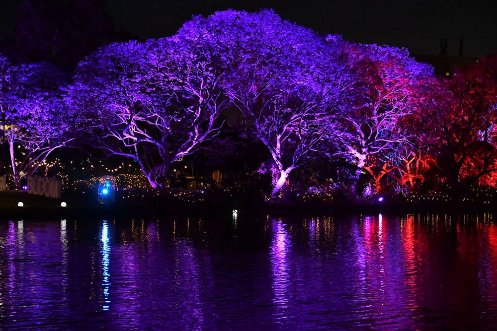 Uq Bloom Festival St Lucia | Must Do Brisbane