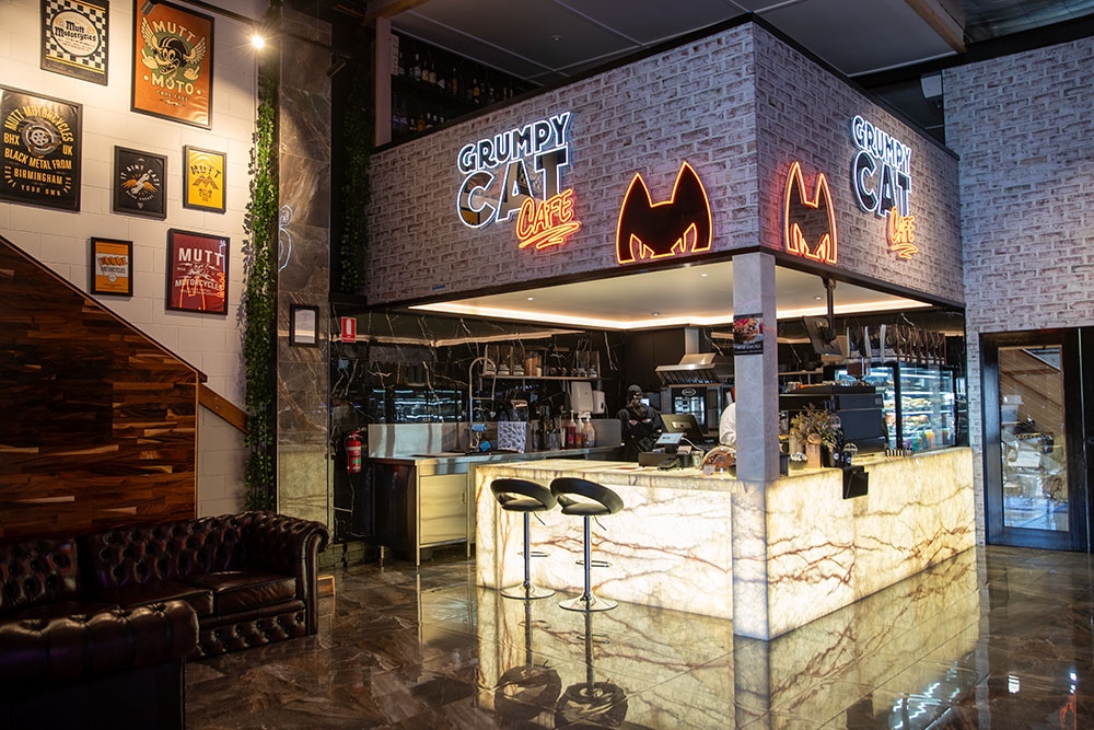 Grumpy Cat Cafe Bowen Hills | Must Do Brisbane