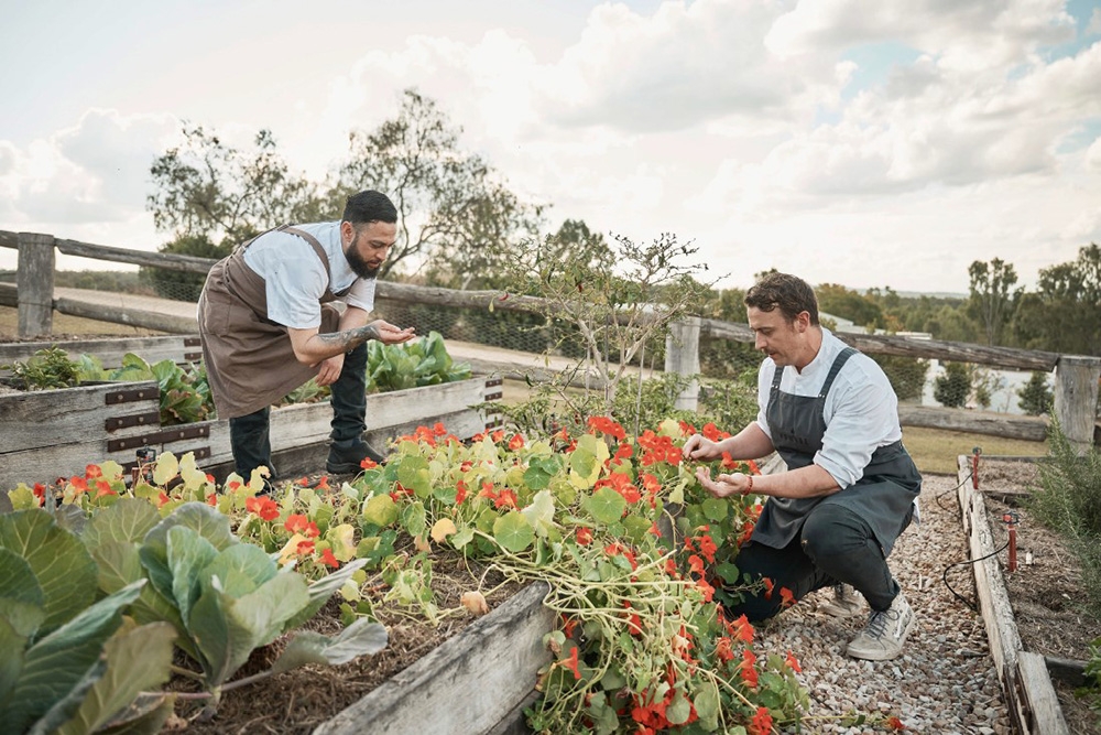 Homage Restaurant At Spicers Hidden Vale Wins Awards For Excellence ...