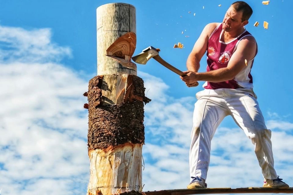 Dayboro Show Dayboro | Must Do Brisbane