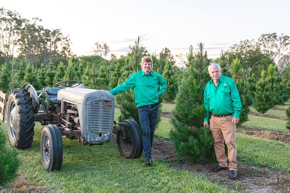 Brisbane Valley Christmas Tree Farm | Must Do Brisbane