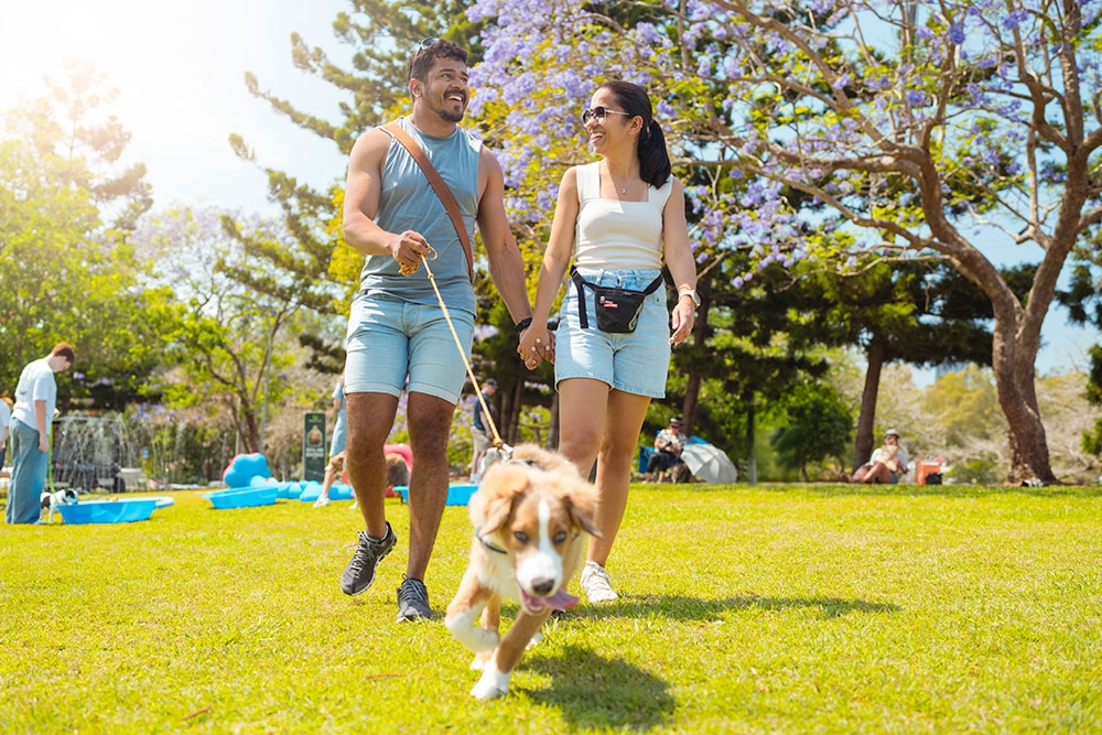 Pop-Up Pooch Party Hanlon Park | Must Do Brisbane