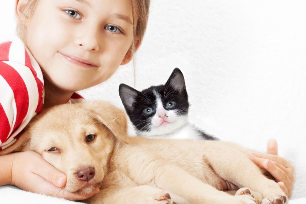 Pooch And Paws Pet Market Mt Gravatt Showgrounds | Must Do Brisbane