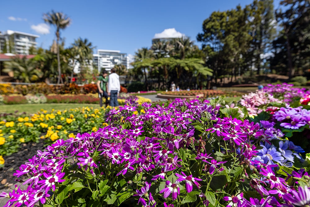 Springtime Around Brisbane | Must Do Brisbane