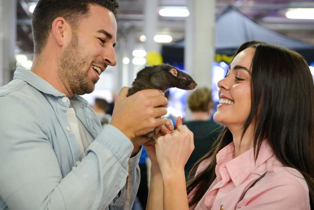 The Pet Show Bcec | Must Do Brisbane