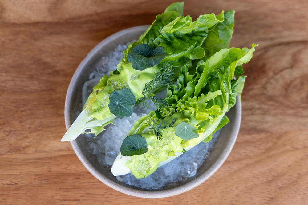 Venner West End | Must Do Brisbane