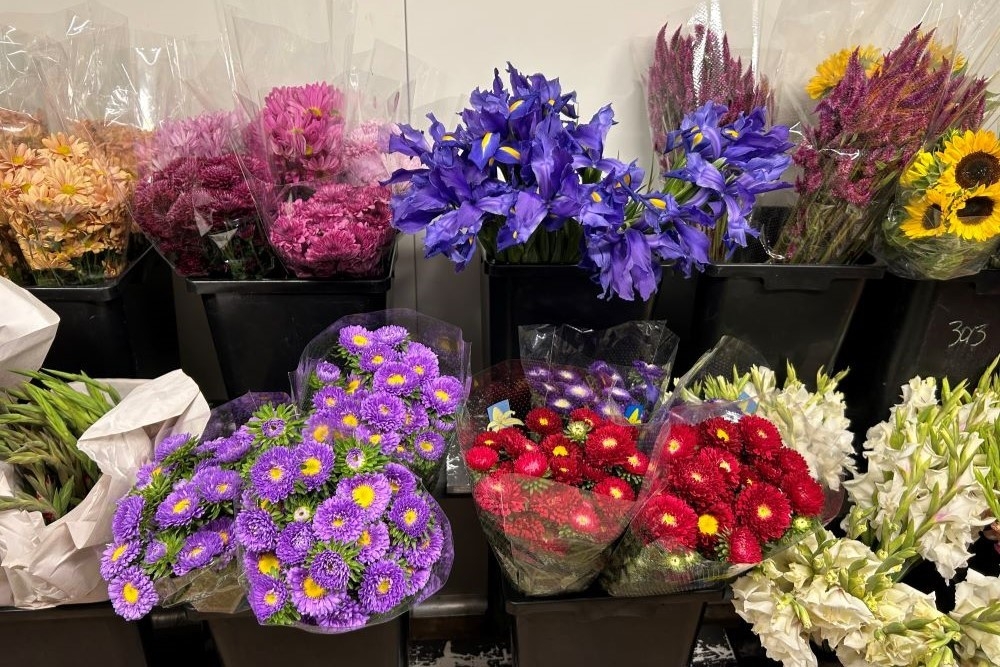 Woolloongabba Flower Market Woolloongabba | Must Do Brisbane