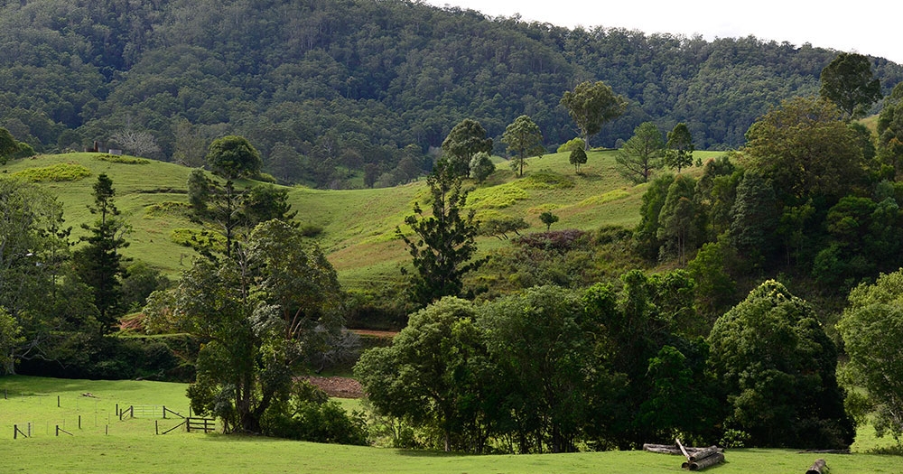 Super Butcher Albany Creek | Must Do Brisbane