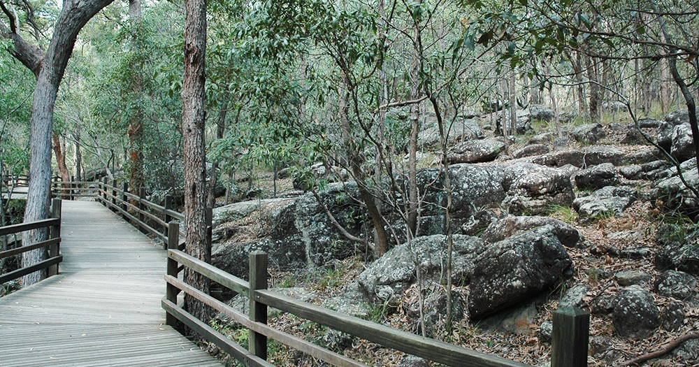Capalaba Regional Park Capalaba | Must Do Brisbane